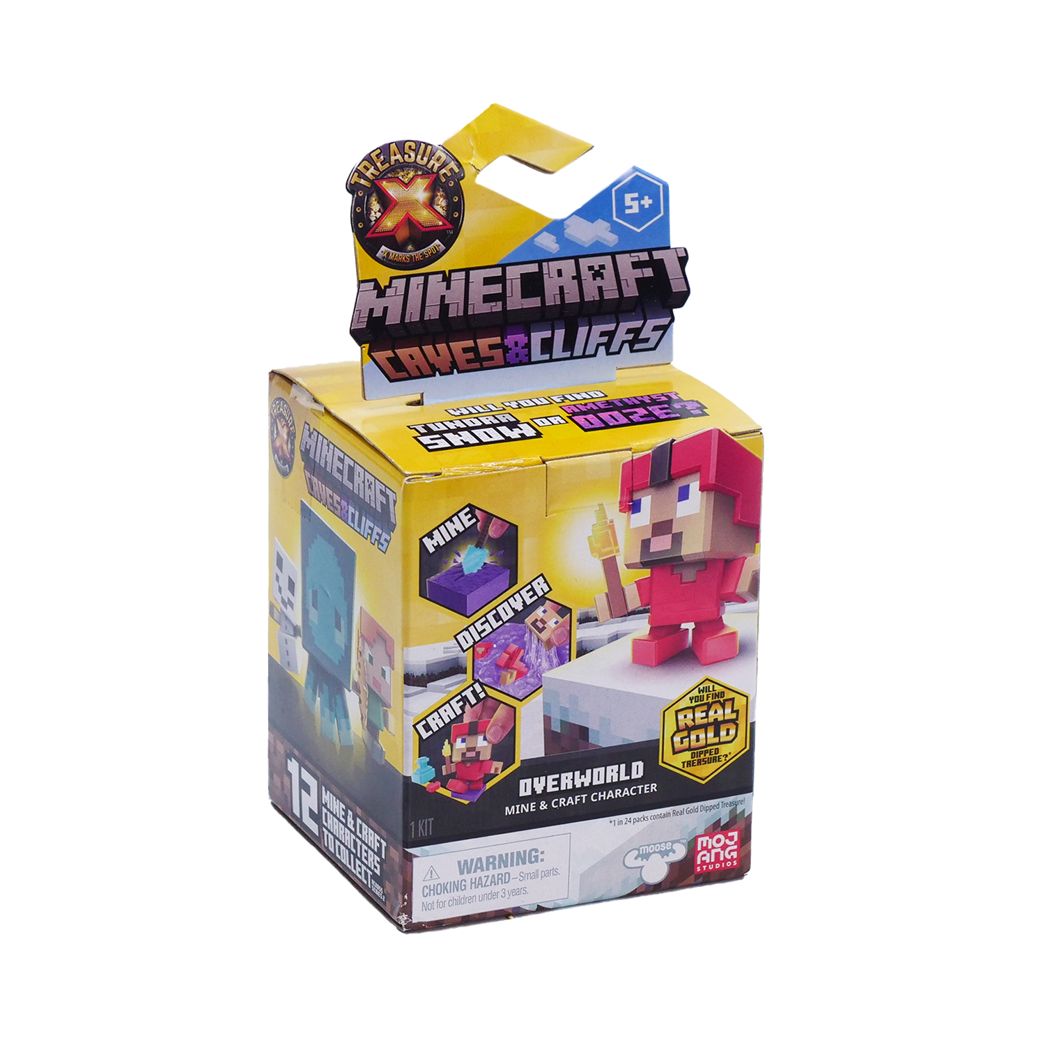 TREASURE X MINECRAFT OVERWORLD | AKSA